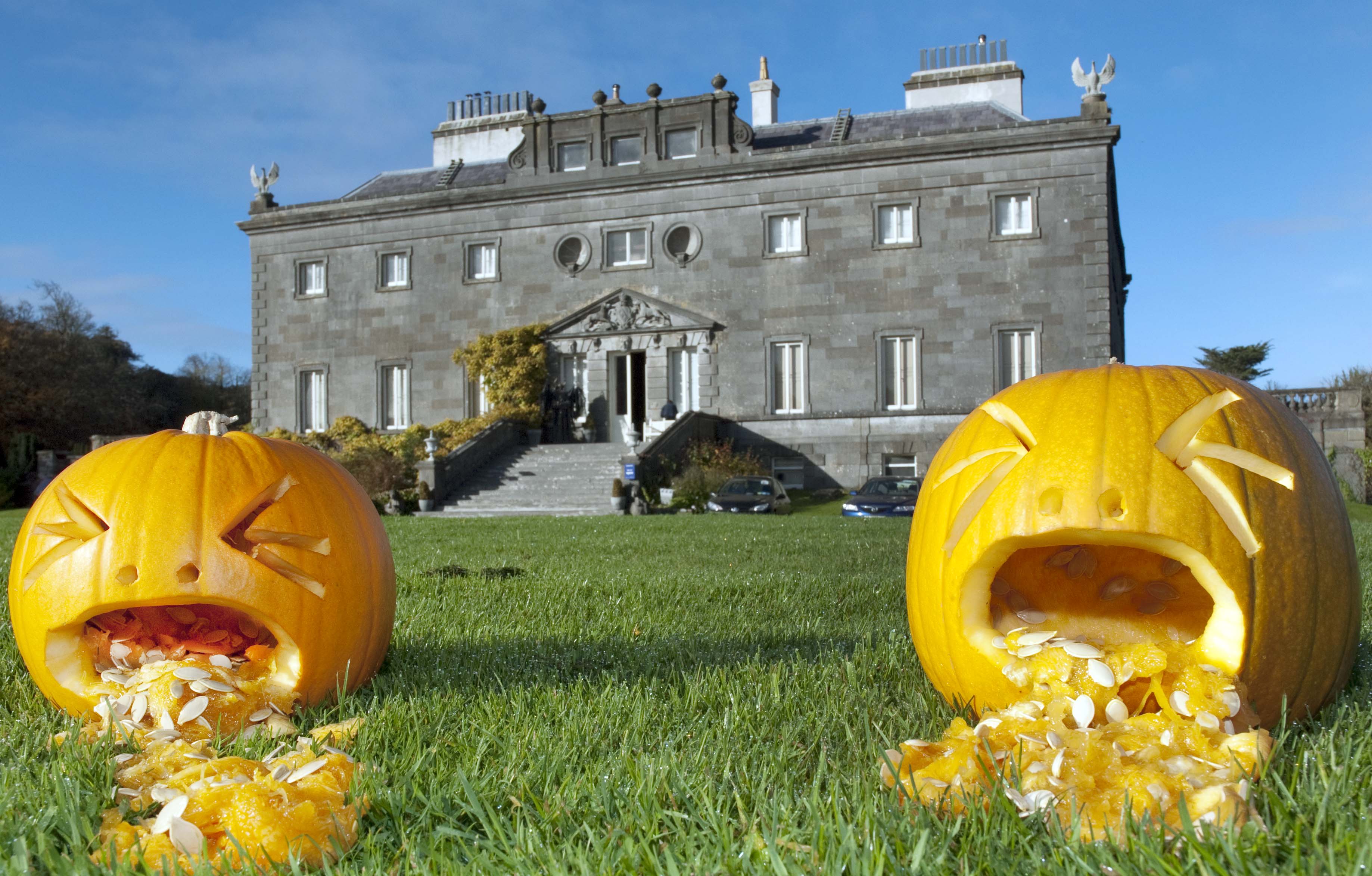Newstalk Goes spooky with Halloween Ideas on The Hard Shoulder ...